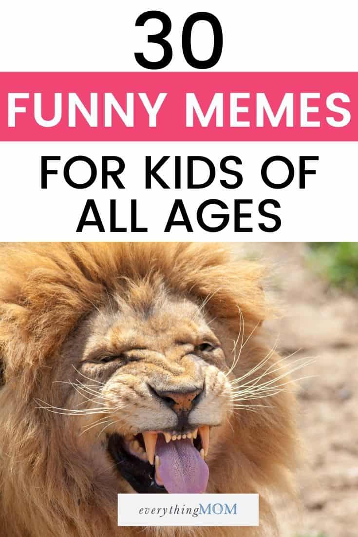 30 Funny Memes for Kids of All Ages - EverythingMom
