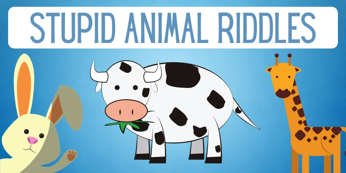 84 Silly Stupid But Funny Riddles With Solutions EverythingMom 84 Silly Stupid But Funny Riddles With Solutions EverythingMom