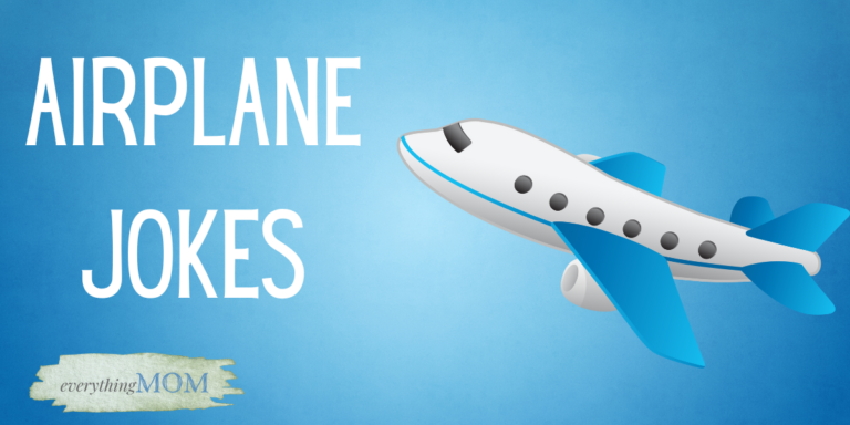 133+ Hilarious Airplane Jokes, Puns, and One-Liners To Make You LOL ...