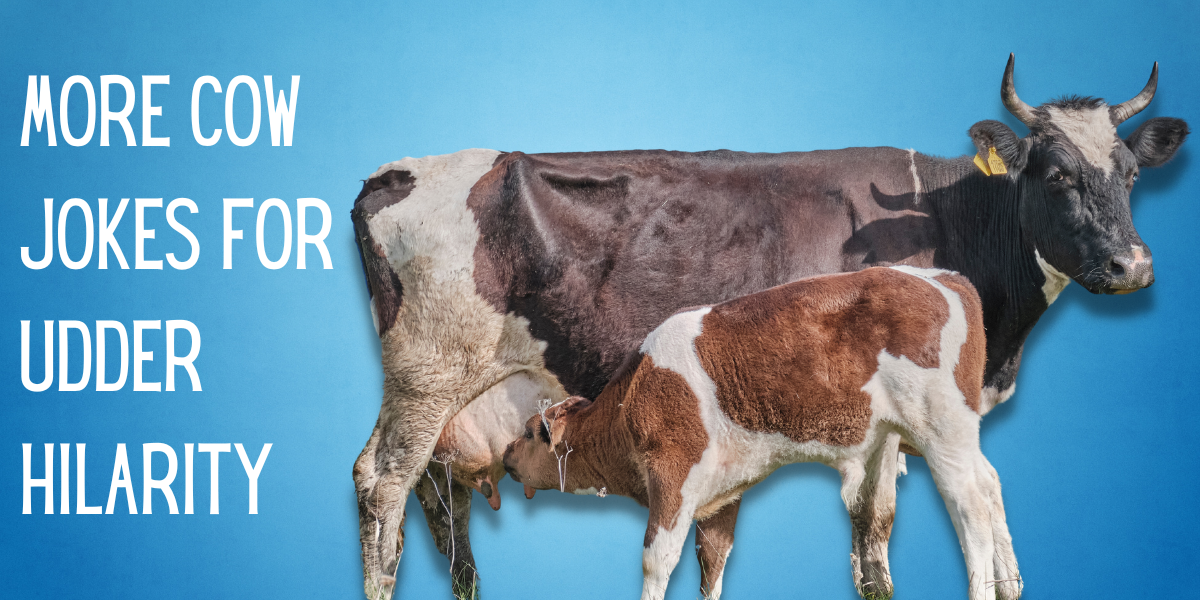189 Of The Best Cow Jokes To Make You LOL EverythingMom 189-of-the-best-cow-jokes-to-make-you-lol-everythingmom