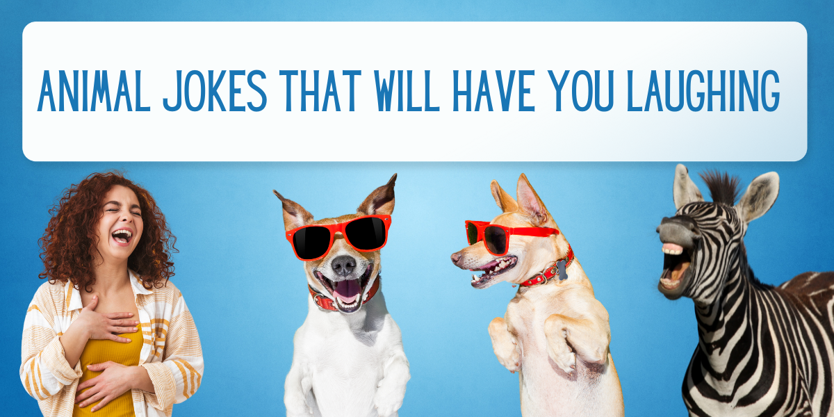 100 Animal Jokes that Will Have You Laughing - EverythingMom